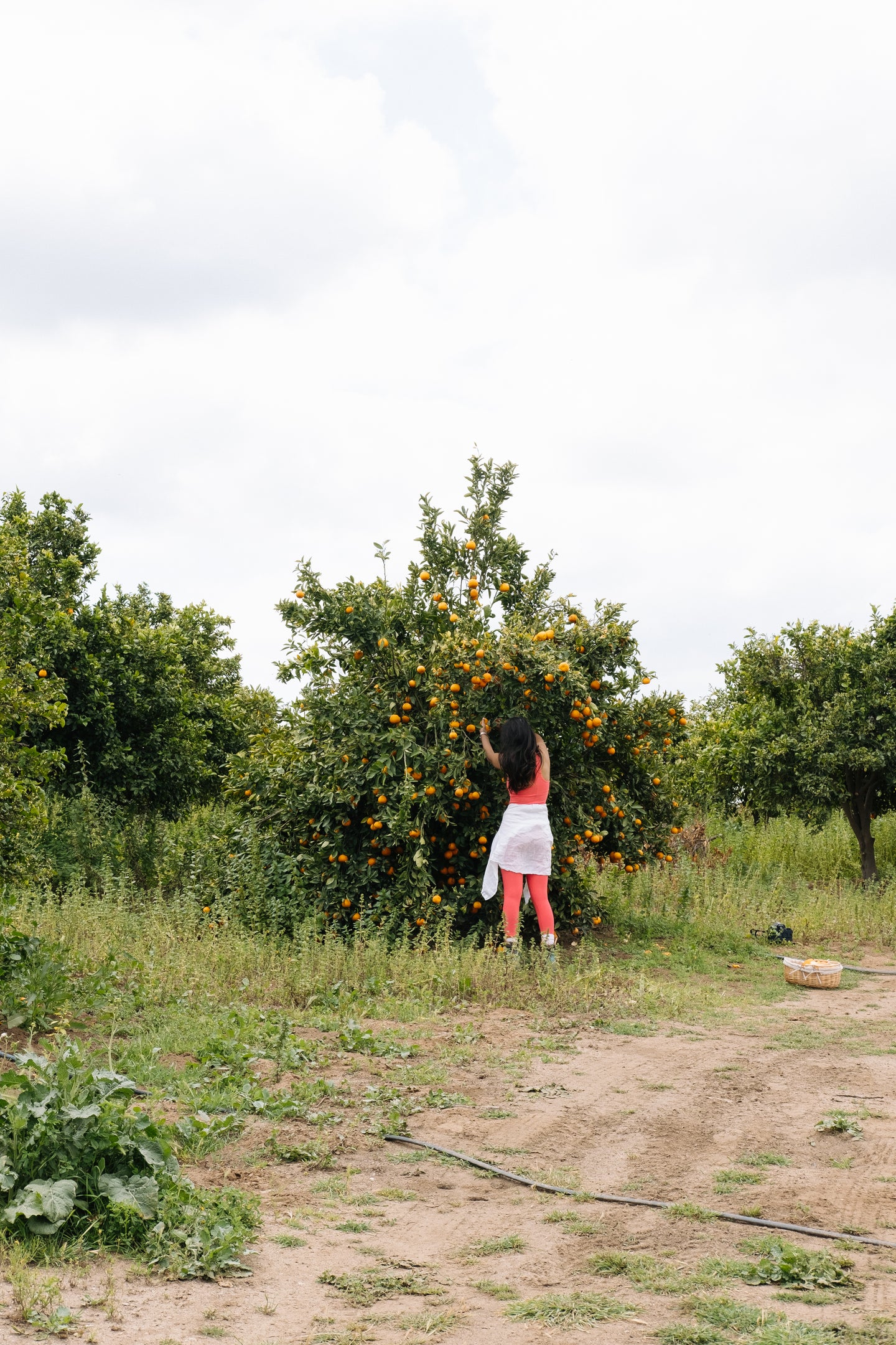 Move In Beyond: Fruit Orchards and Farming with Nishta Patel – Beyond Yoga
